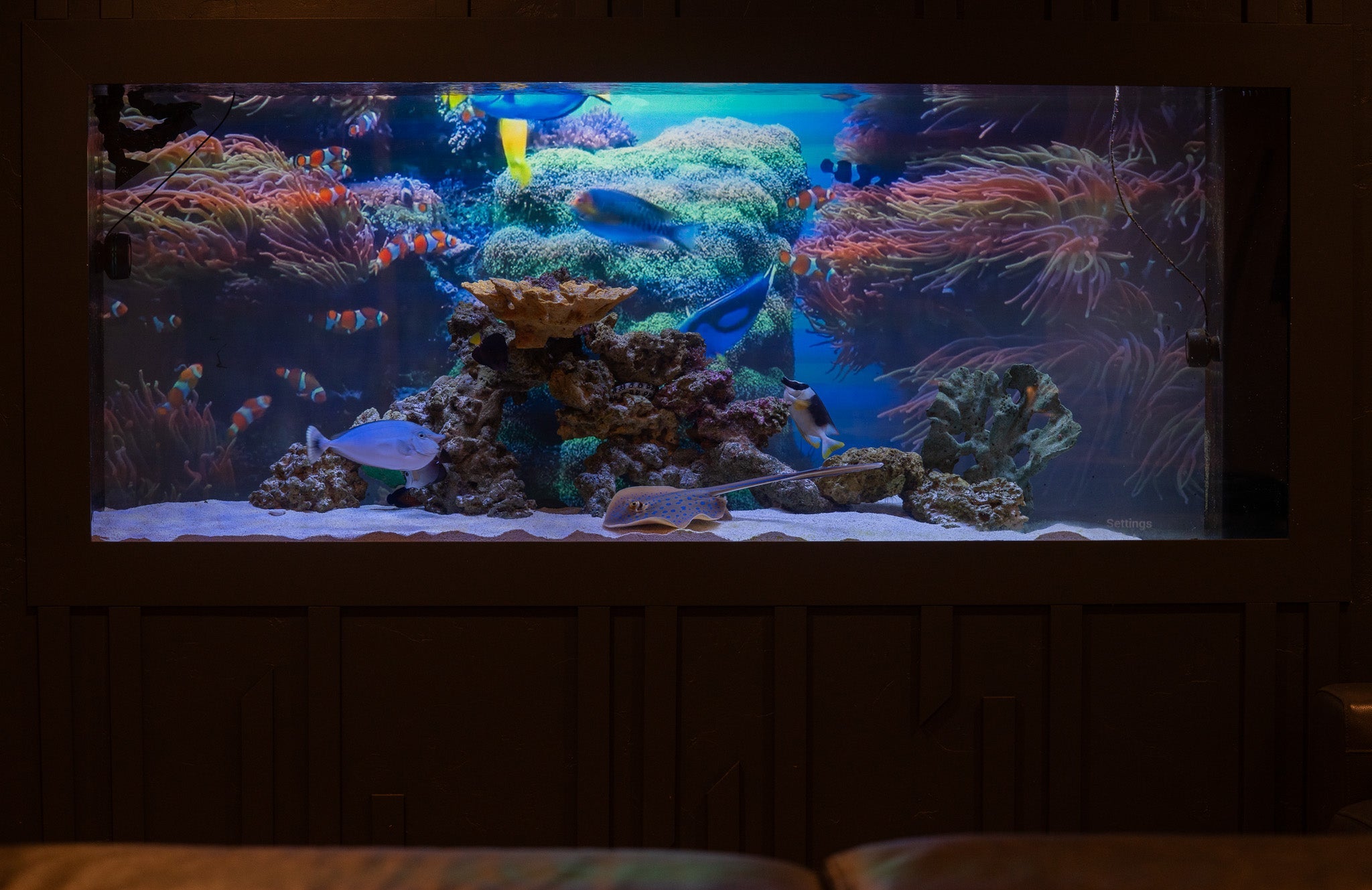 sample 300-gallon tank: serviced every 4 weeks! – Exotic Aquariums